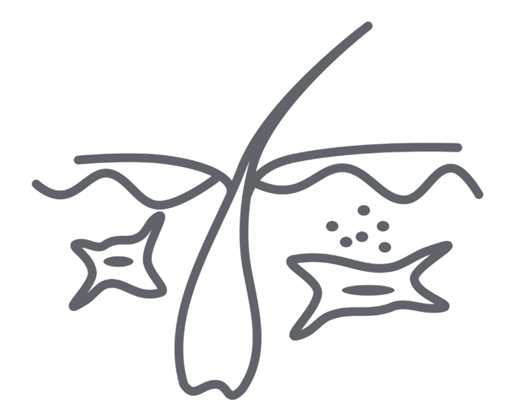 Team – Cavinato Lab